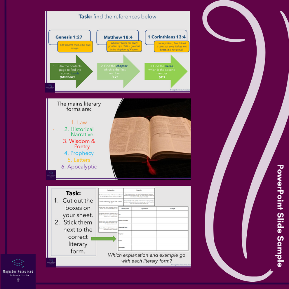 Bible Structure – Magister Resources Ltd