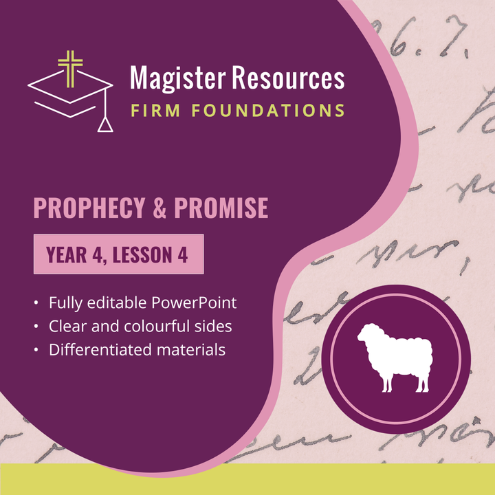 Y4 Prophecy & Promise – Magister Resources Ltd